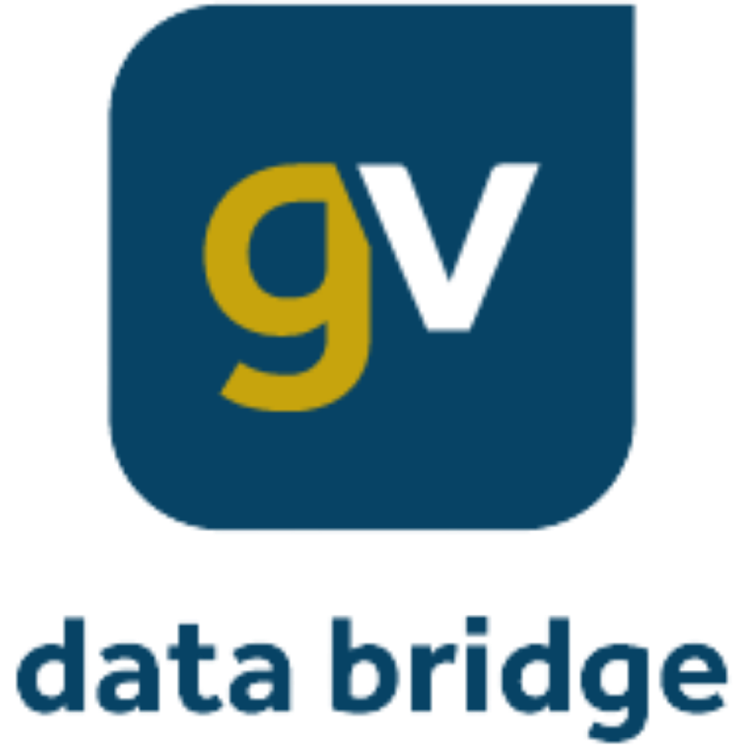 Data Bridge - Gold Vision Help Centre